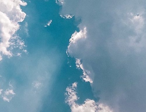 Salesforce Channel Insights from Leading AppExchange Partners - CodeScience Salesforce Channel Insights from Leading AppExchange Partners - CodeScience